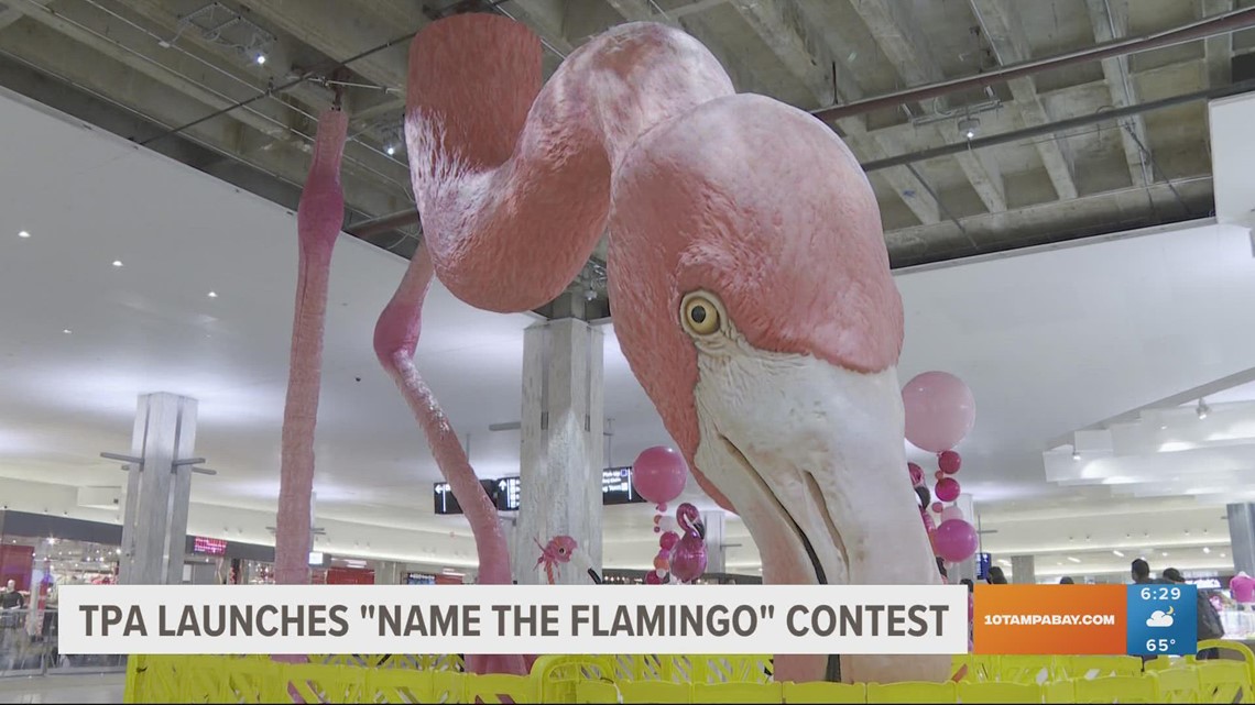 Name TPA's giant flamingo, win airline and theme park tickets | wtsp.com