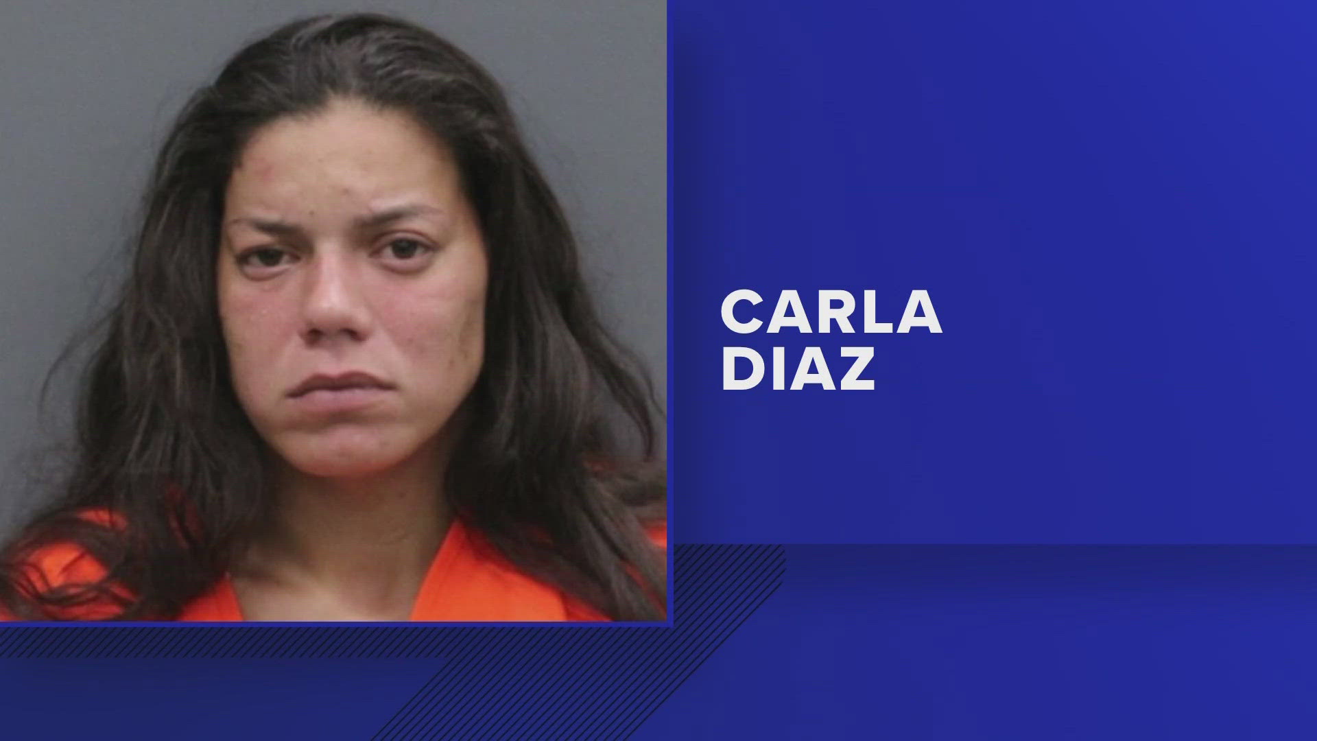 Woman arrested for animal cruelty in Hillsborough County case | wtsp.com