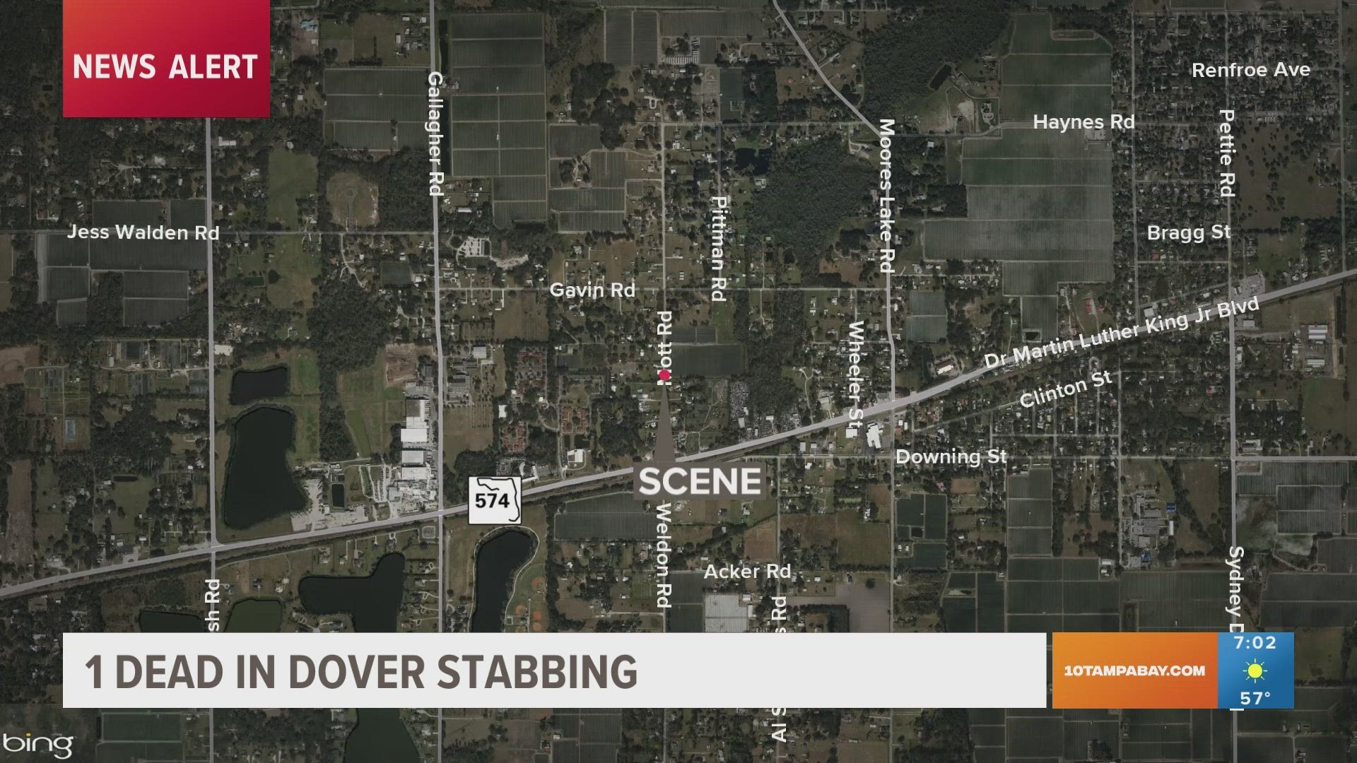 Dover man stabbed to death during fight; killer not caught yet | wtsp.com