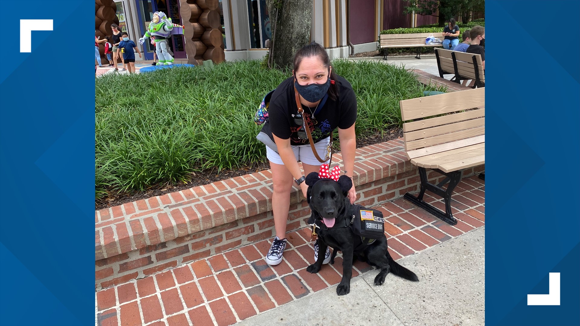 Air Force veteran says her new service dog saved her life | wtsp.com