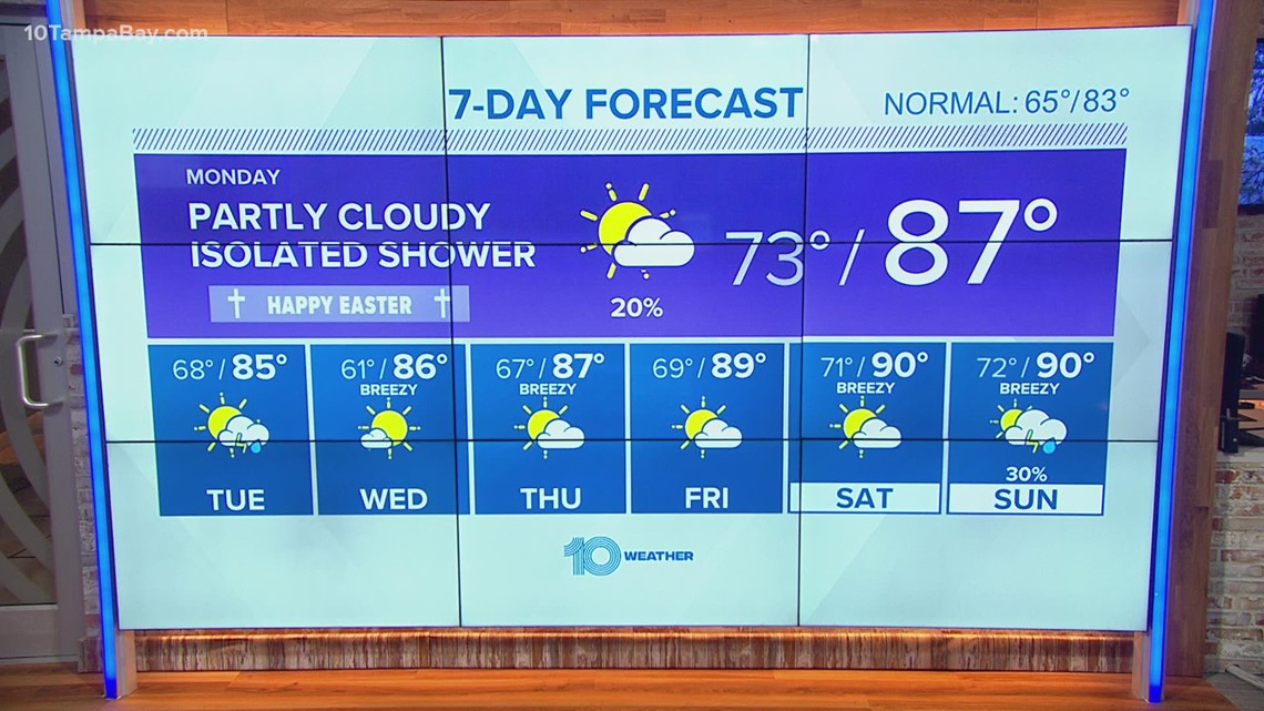 10 Weather: At least one more day of this humid weather | wtsp.com