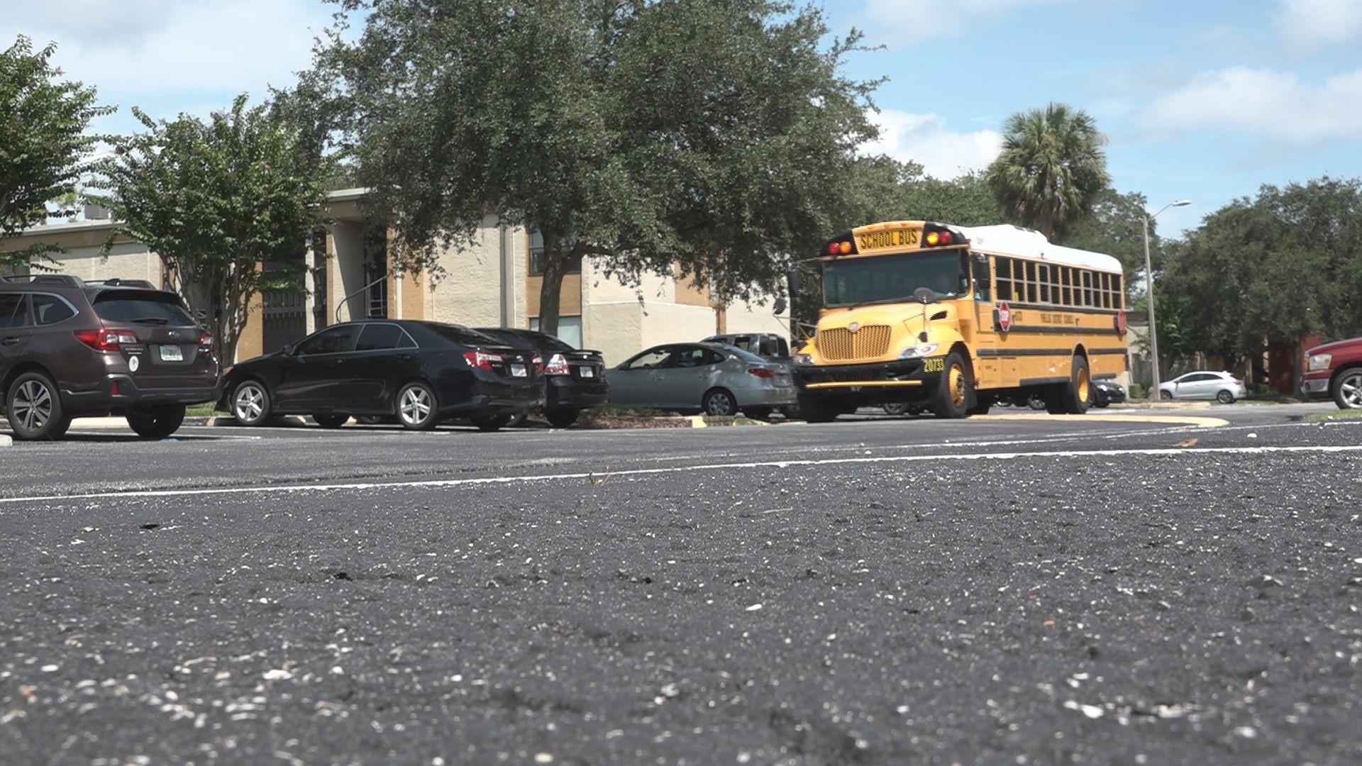 Hillsborough County has new incentive program to hire bus drivers ...