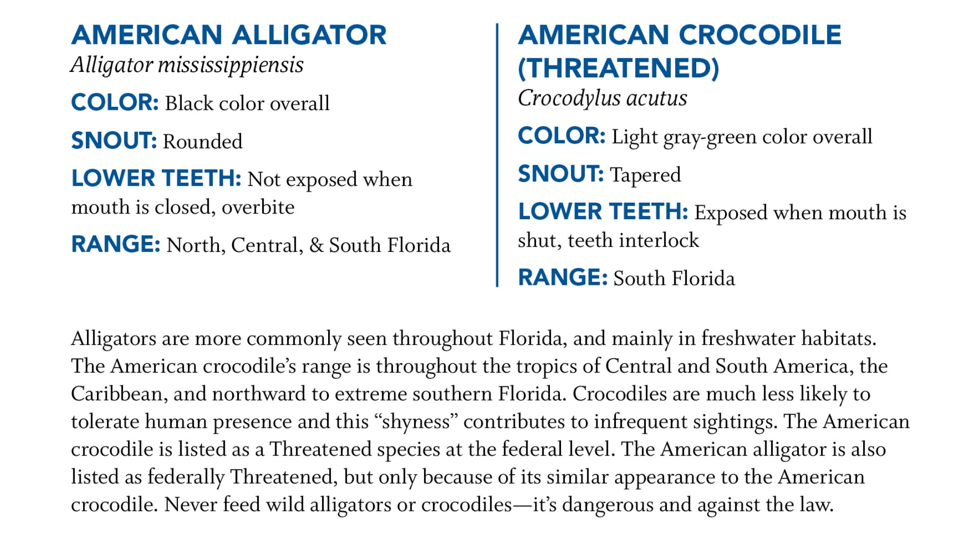 Top 10: Misidentified Florida animals, plants and insects | wtsp.com