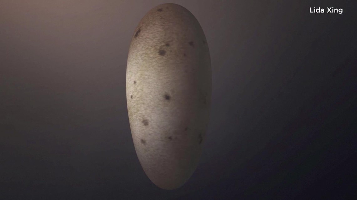 Preserved dinosaur embryo found inside fossilized egg in China | wtsp.com