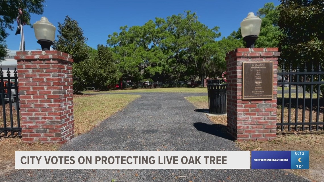 Safety Harbor residents vote to preserve Baranoff Park and the county's ...