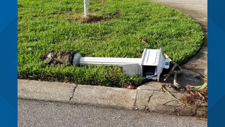 Clearwater police want to know whose been vandalizing mailboxes | wtsp.com