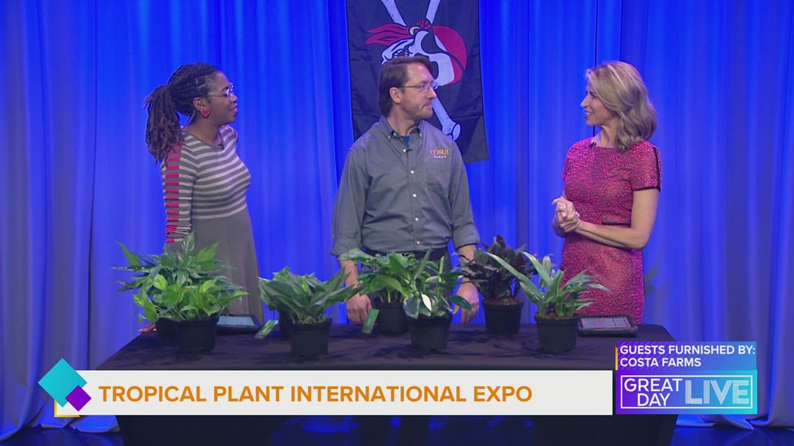 2023 Tropical Plant Expo | wtsp.com