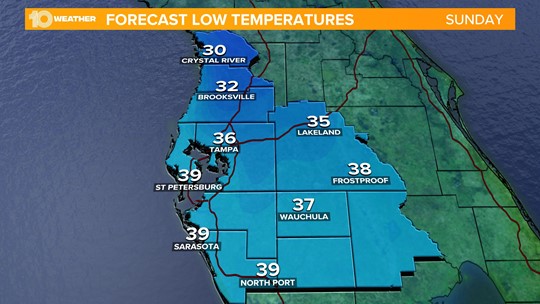 Florida chill: Tampa Bay area hits freezing temps | wtsp.com
