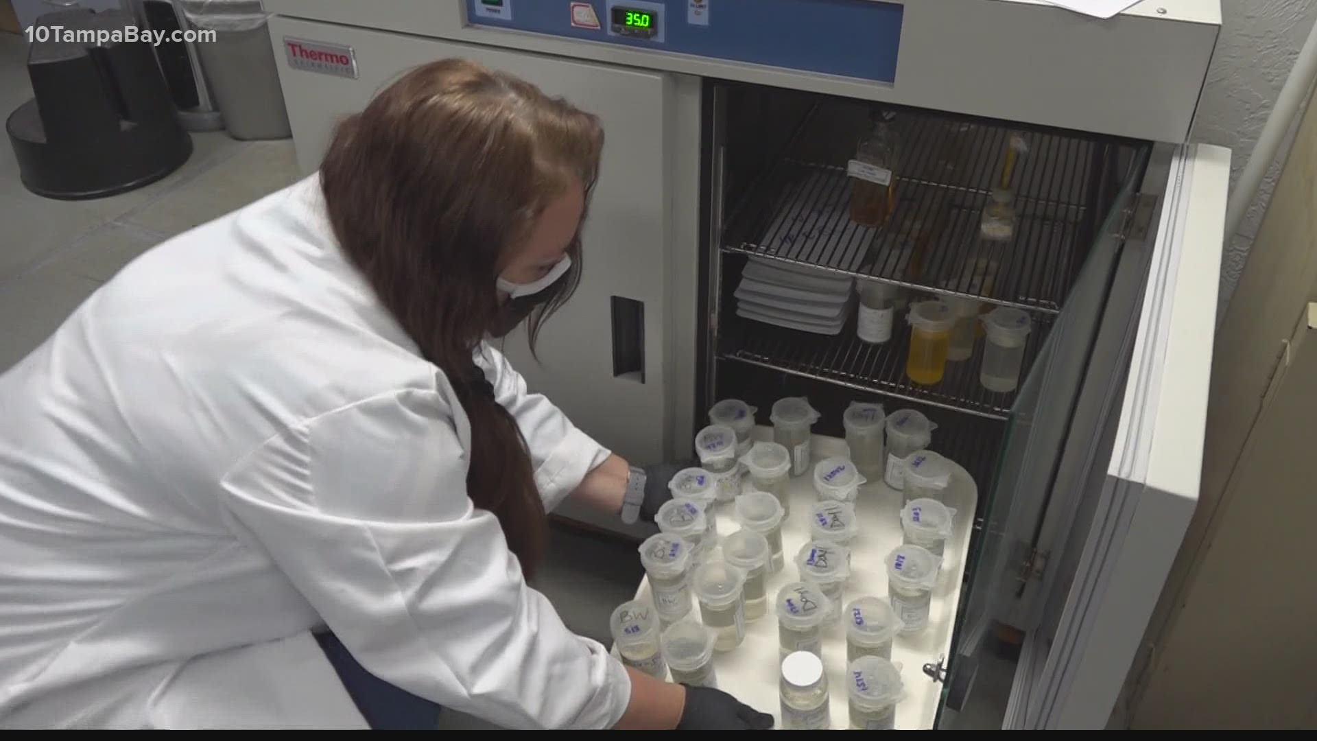 First round of test results shows no contamination in Tampa’s drinking ...