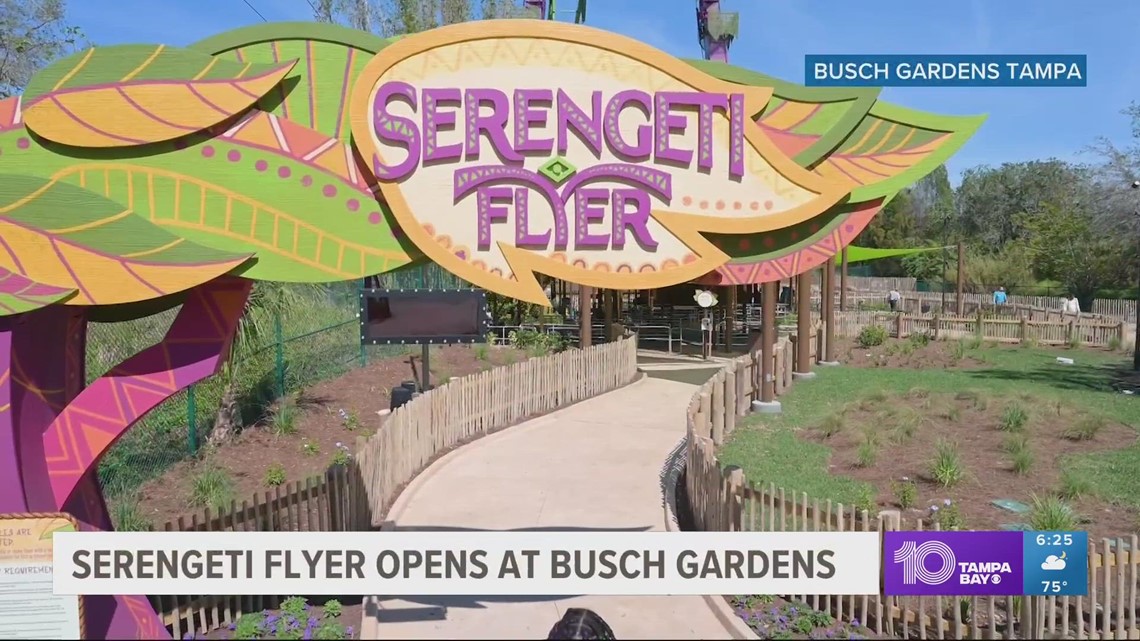 Busch Gardens officially opens its newest ride the Serengeti Flyer ...