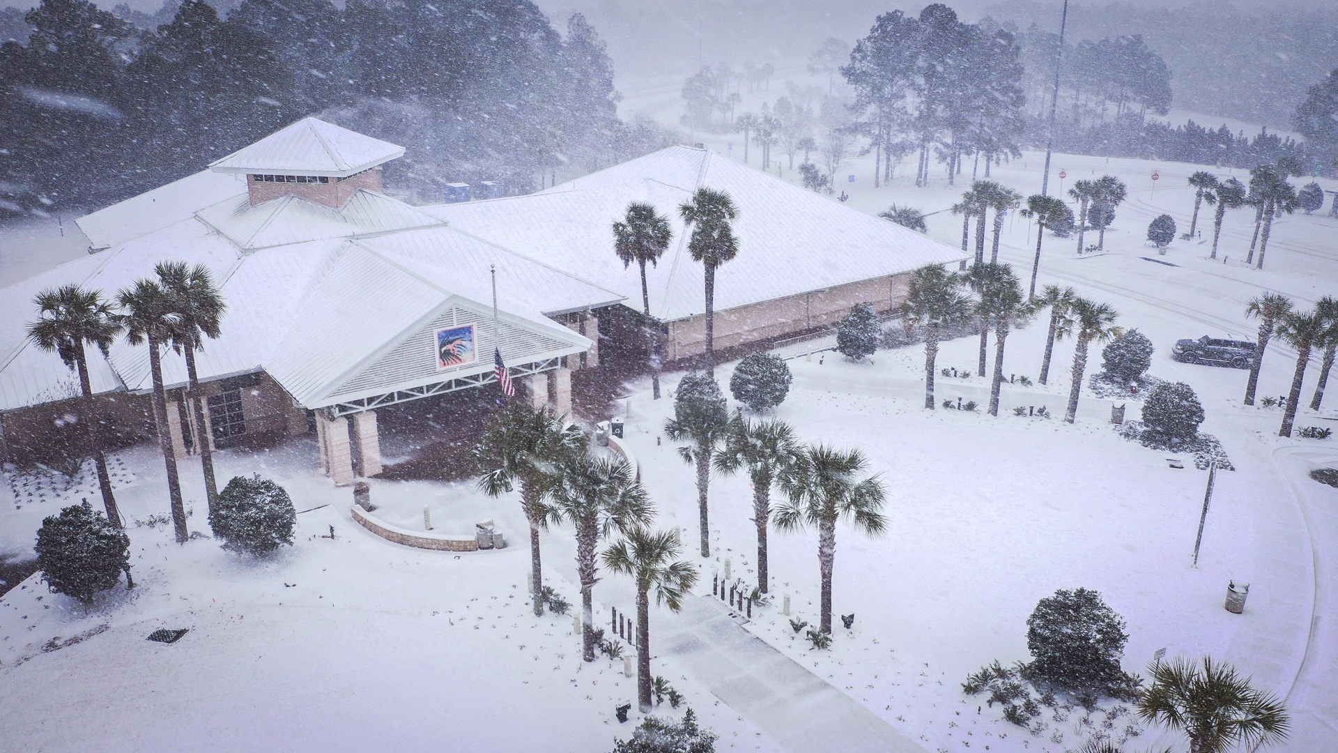 Pictures of Florida's snow storm | wtsp.com