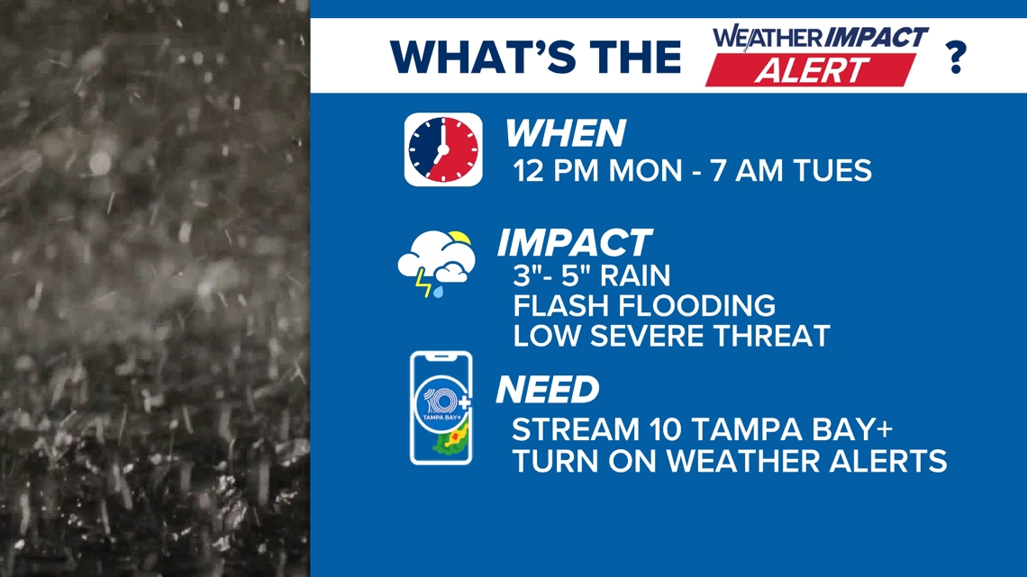 About 10 Tampa Bay WTSP | wtsp.com