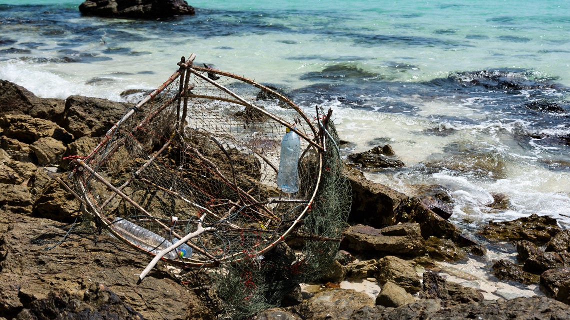 Dolphin calf rescued in Clearwater shows dangers of ghost traps | wtsp.com
