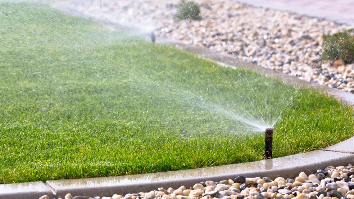 More than 400 Tampa residents have received citations for violating ...
