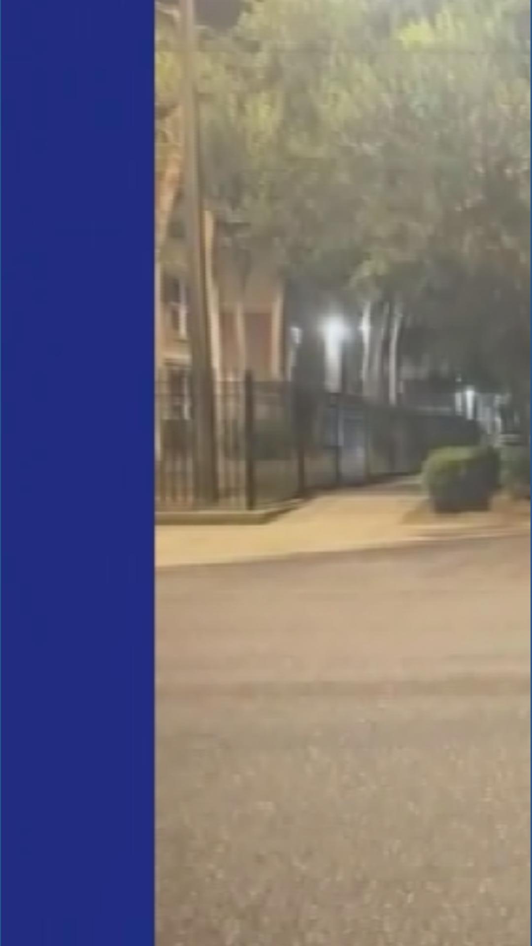 Video of security guards allegedly pointing guns at Tampa man sparks ...