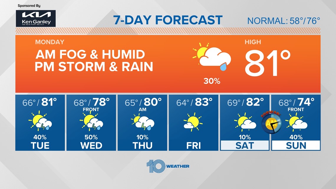 10 Investigates Wtsp
