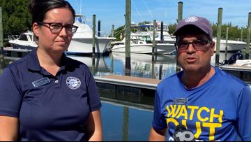 Florida boat club workers save manatee drowning in river | wtsp.com