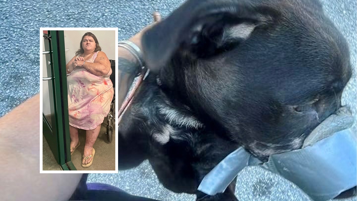 Photo of dog with muzzle taped leads to Auburndale woman's animal ...