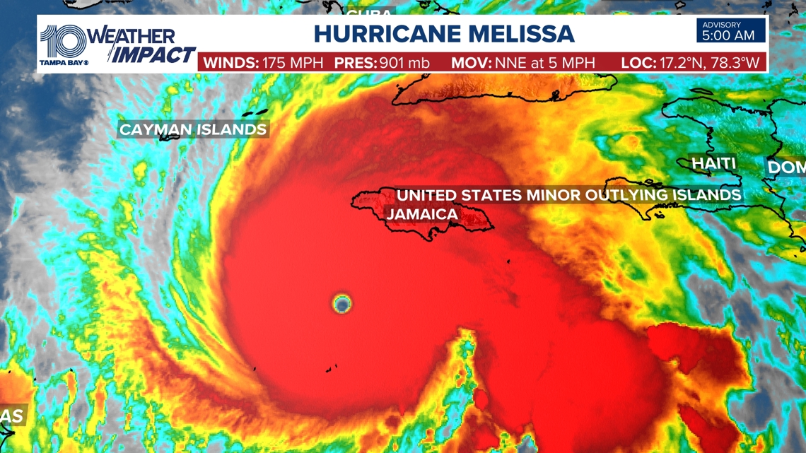 Former Sonny's BBQ location catches fire in Tampa, shutting down part ...