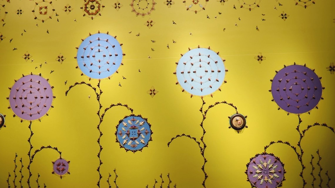 Artist uses 5,000 bugs for art exhibit at Museum of Fine Arts | wtsp.com