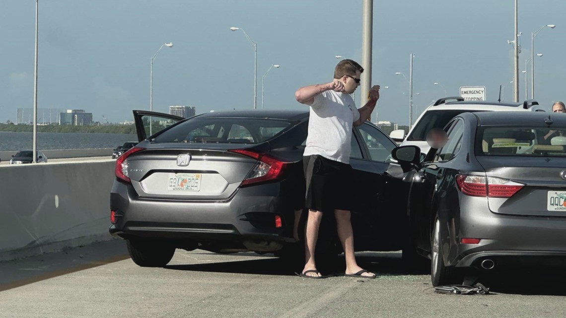 Former Tampa US Attorney arrested for stabbing man I-275 bridge | wtsp.com