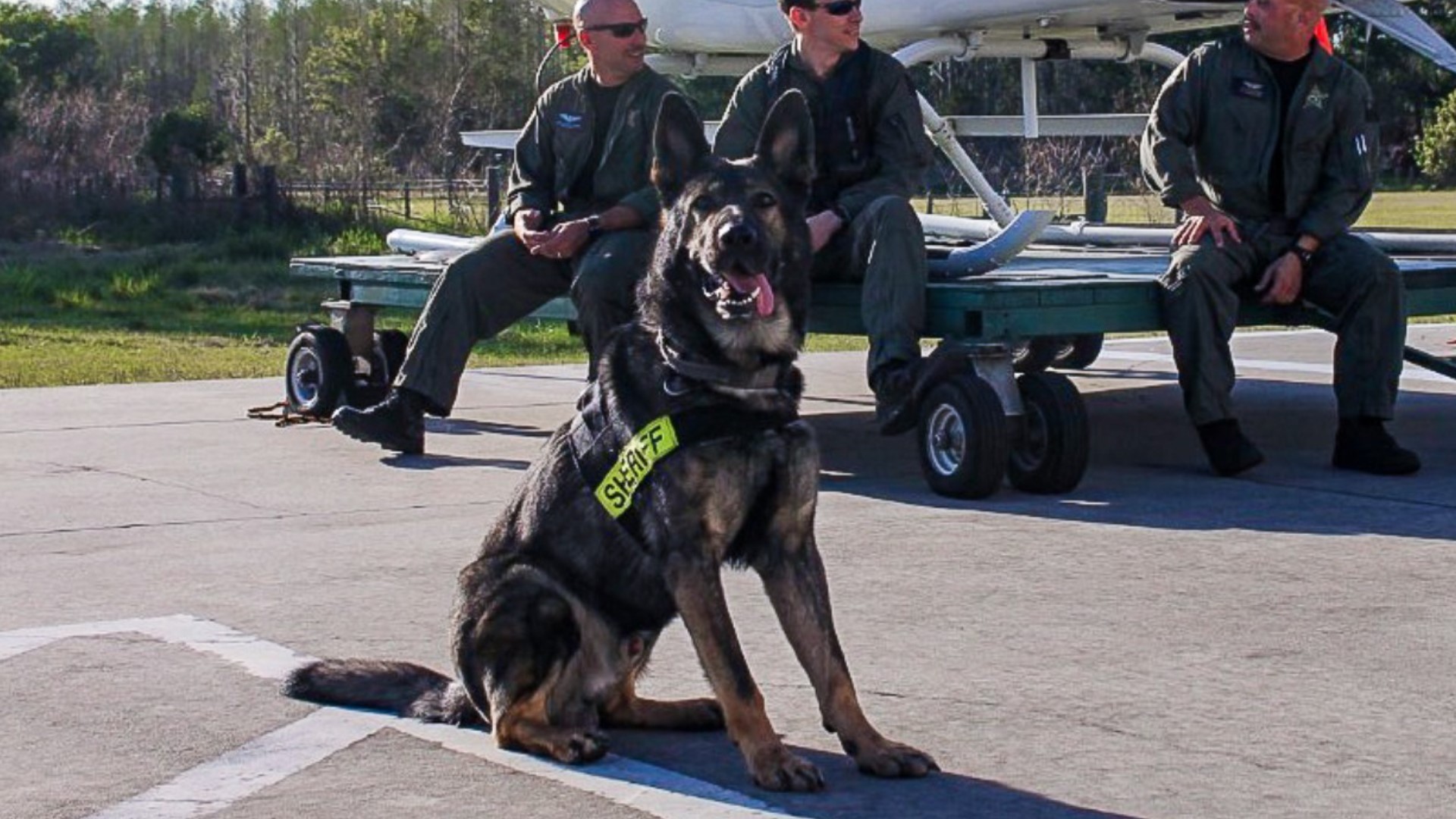 Jennifer Titus | wtsp.com