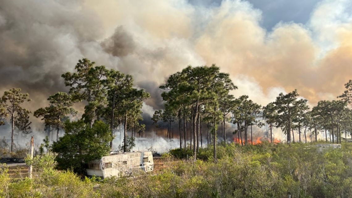FDOH cautions about health effects of wildlife smoke exposure | wtsp.com