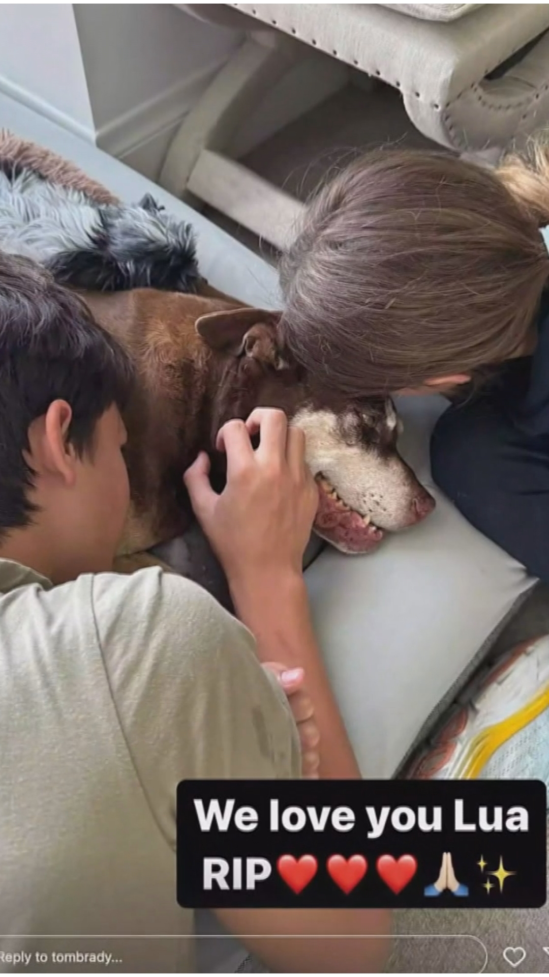 Tom Brady clones dog, can you? | wtsp.com