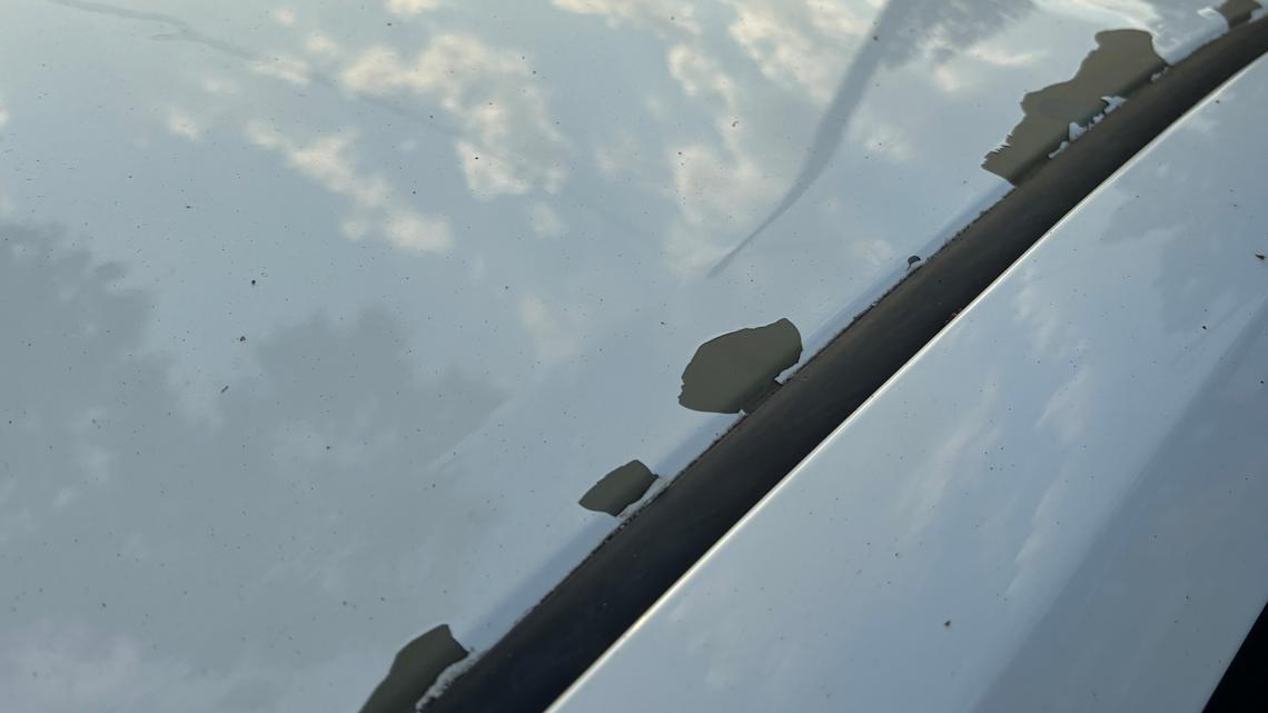 Car paint-peeling problem affecting thousands in Florida | wtsp.com