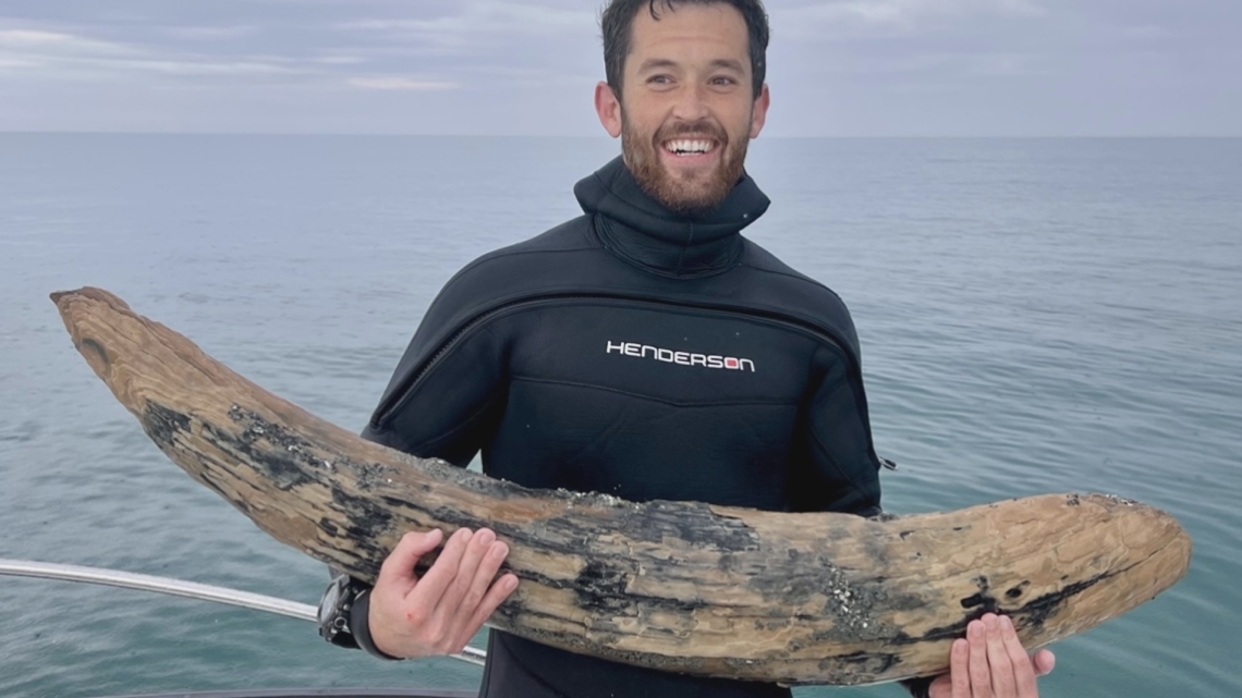 Florida man finds ancient fossil on beach | wtsp.com