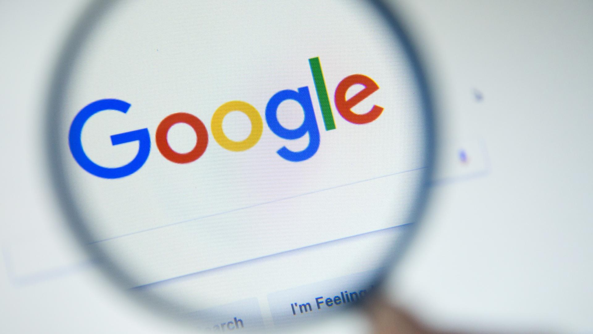 What did Tampa Bay Google the most in 2025? | wtsp.com