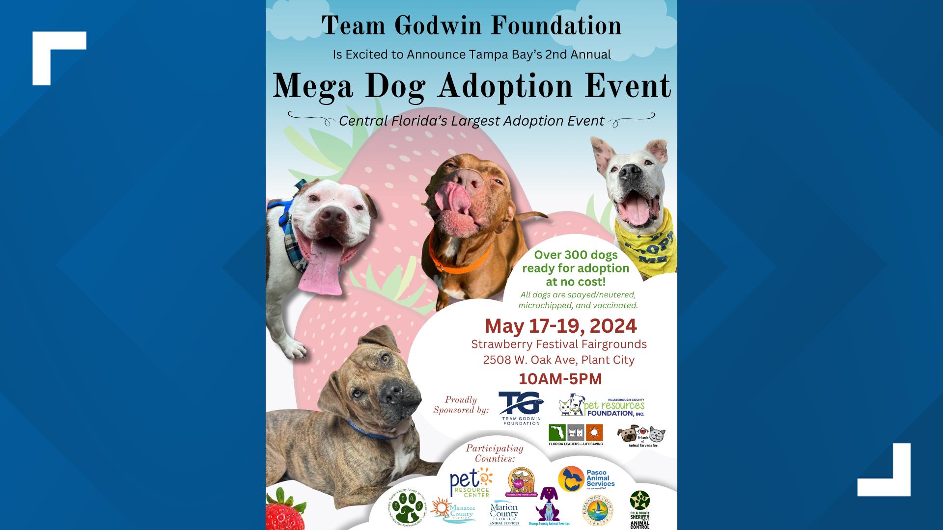 Free adoption event in Tampa Bay this weekend for over 300 dogs | wtsp.com