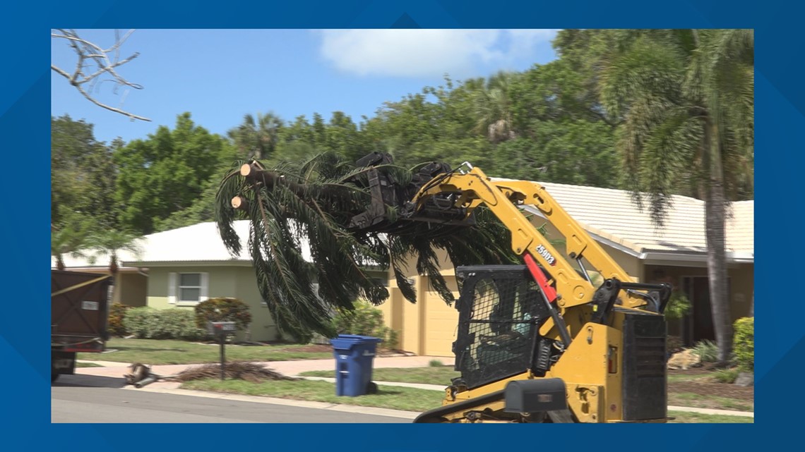 Homeowners trim and remove trees for Hurricane Season | wtsp.com