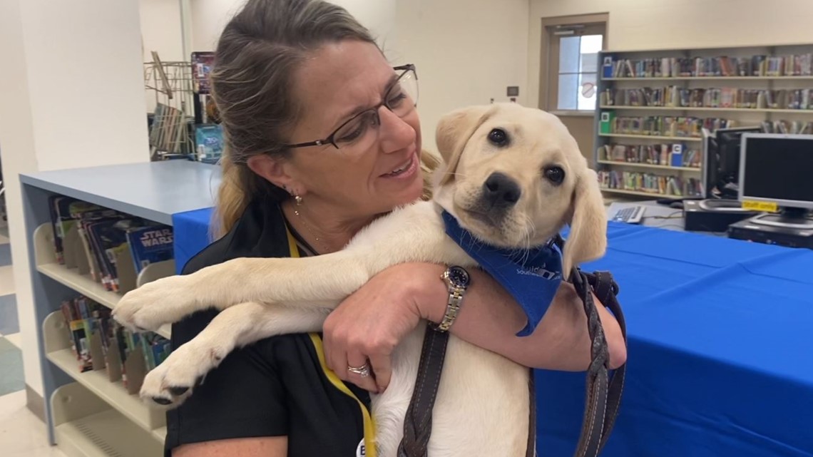 Southeastern Guide Dogs bring comfort to Hillsborough veterans | wtsp.com