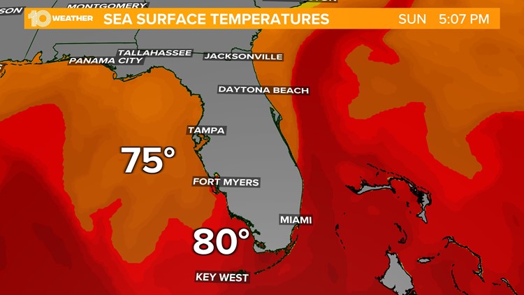 When do Florida's waters warm up for swimming? | wtsp.com