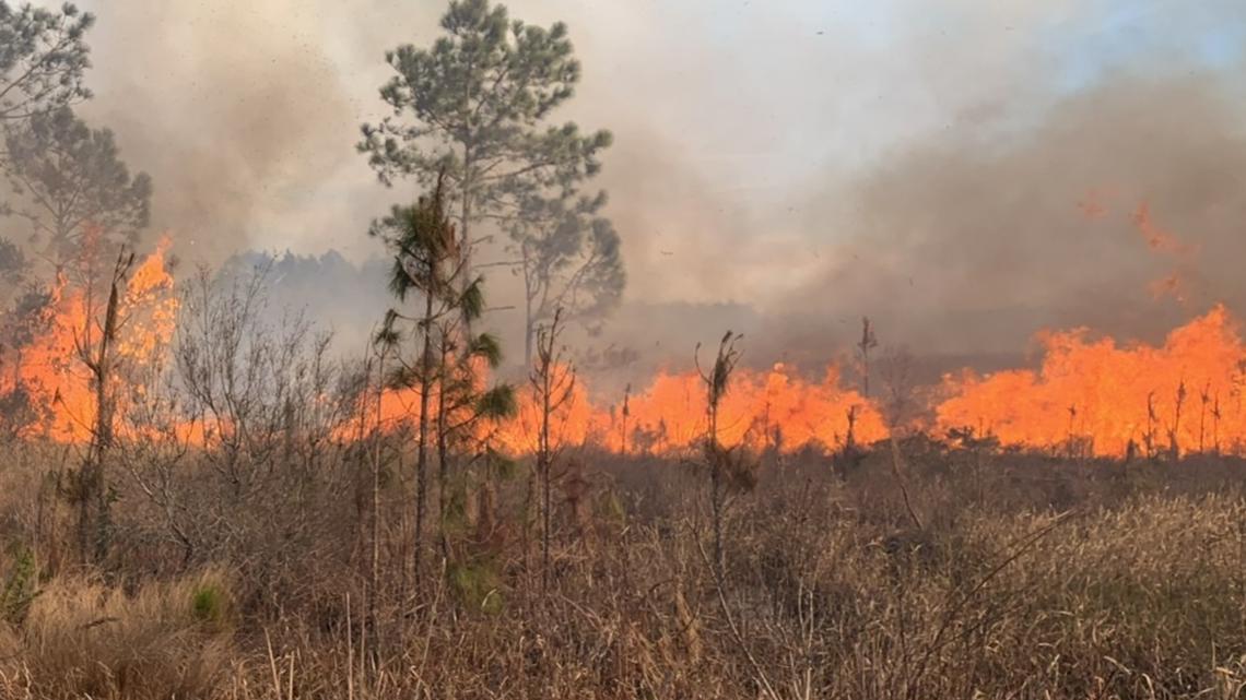 Brush fire in Florida burns 100 acres, fire officials say | wtsp.com
