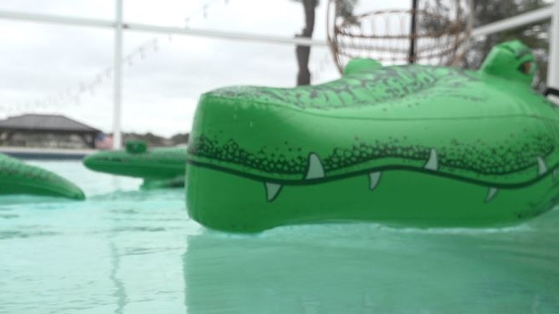 Florida man recounts alligator attack and his recovery journey | wtsp.com