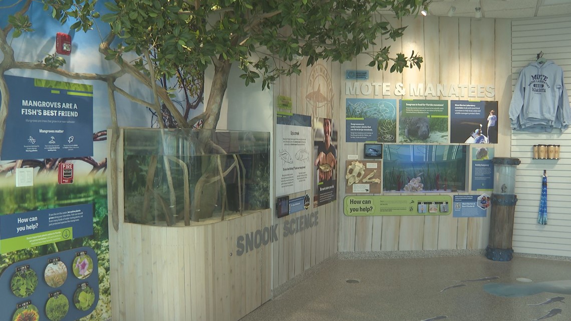Mote Marine Lab opens Marine Science Education & Outreach Center | wtsp.com