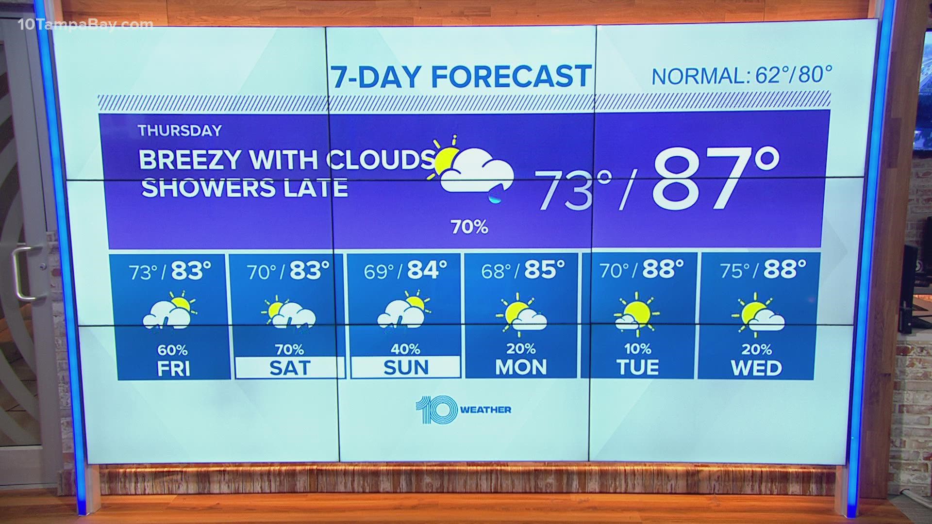 Watch | 10 Tampa Bay Live and On-Demand Videos | Tampa, Florida | wtsp.com