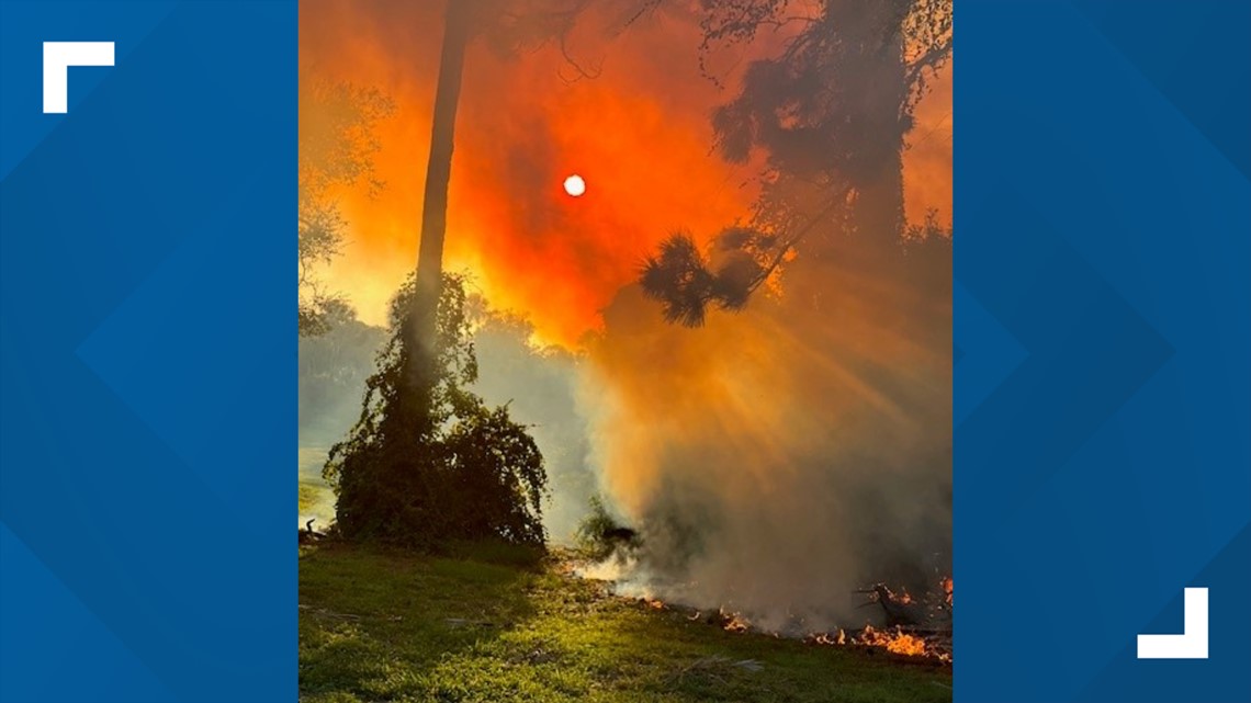 Crews put out Venice brush fires 'intentionally' set by person | wtsp.com