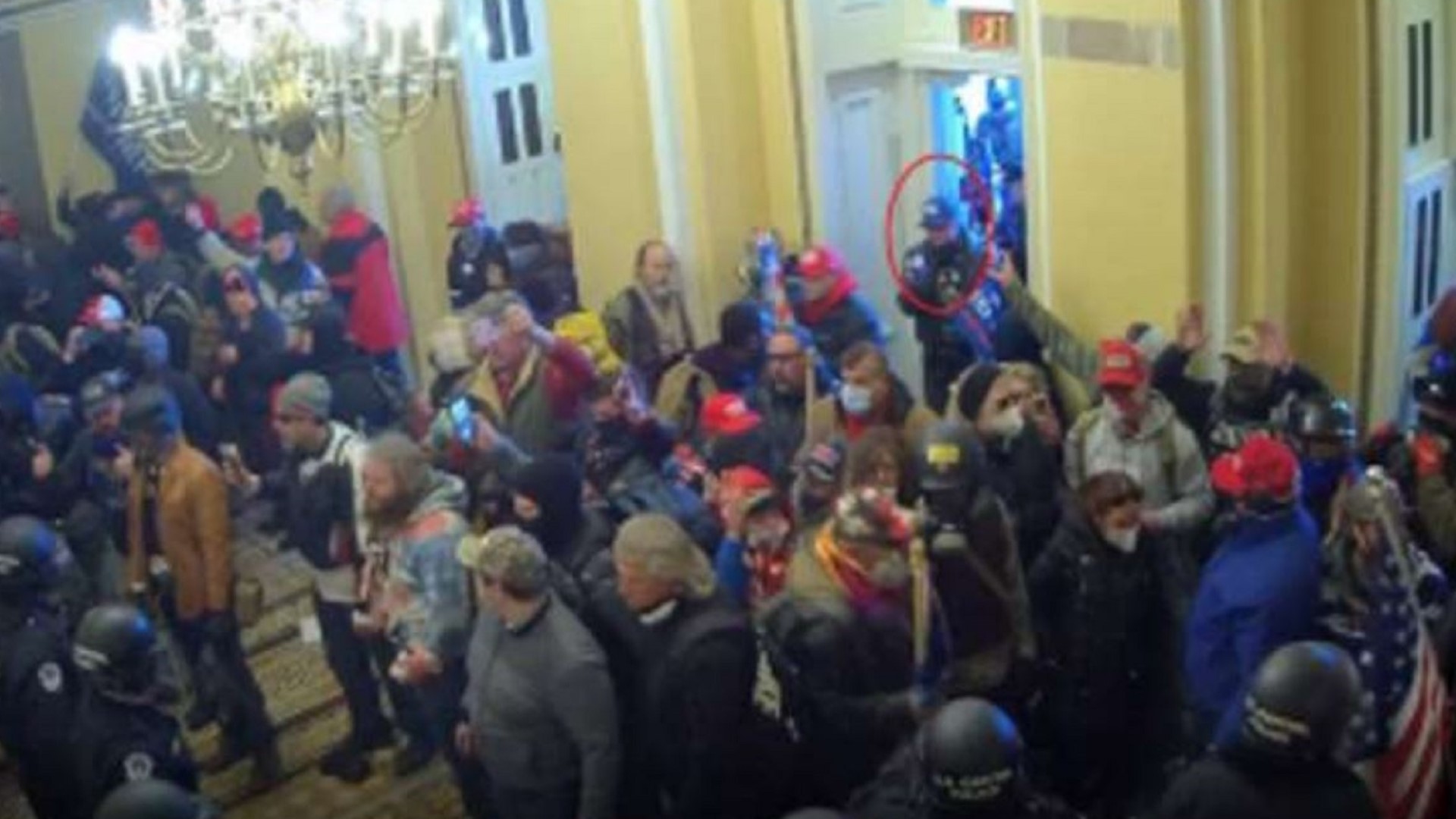FBI arrests fugitive linked to Capitol riot at Clearwater condo | wtsp.com