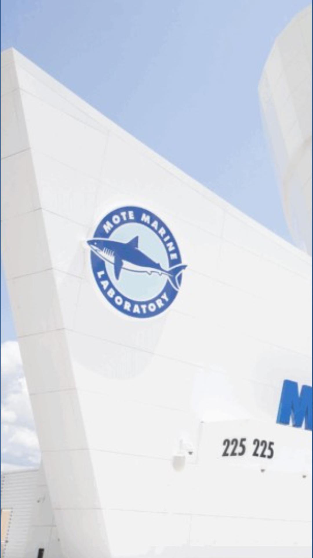 Mote Marine Aquarium to open new science and education facility | wtsp.com
