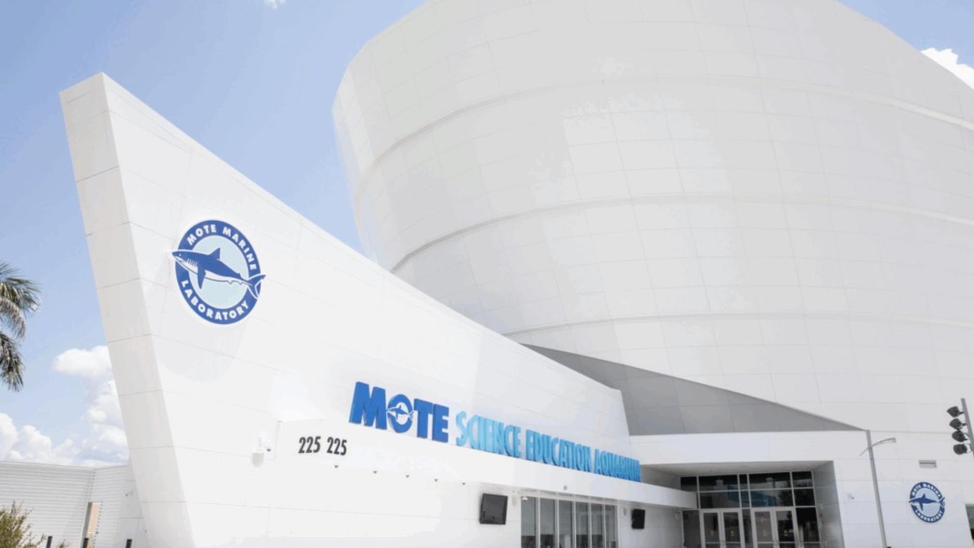 Mote Marine Aquarium to open new science and education facility | wtsp.com