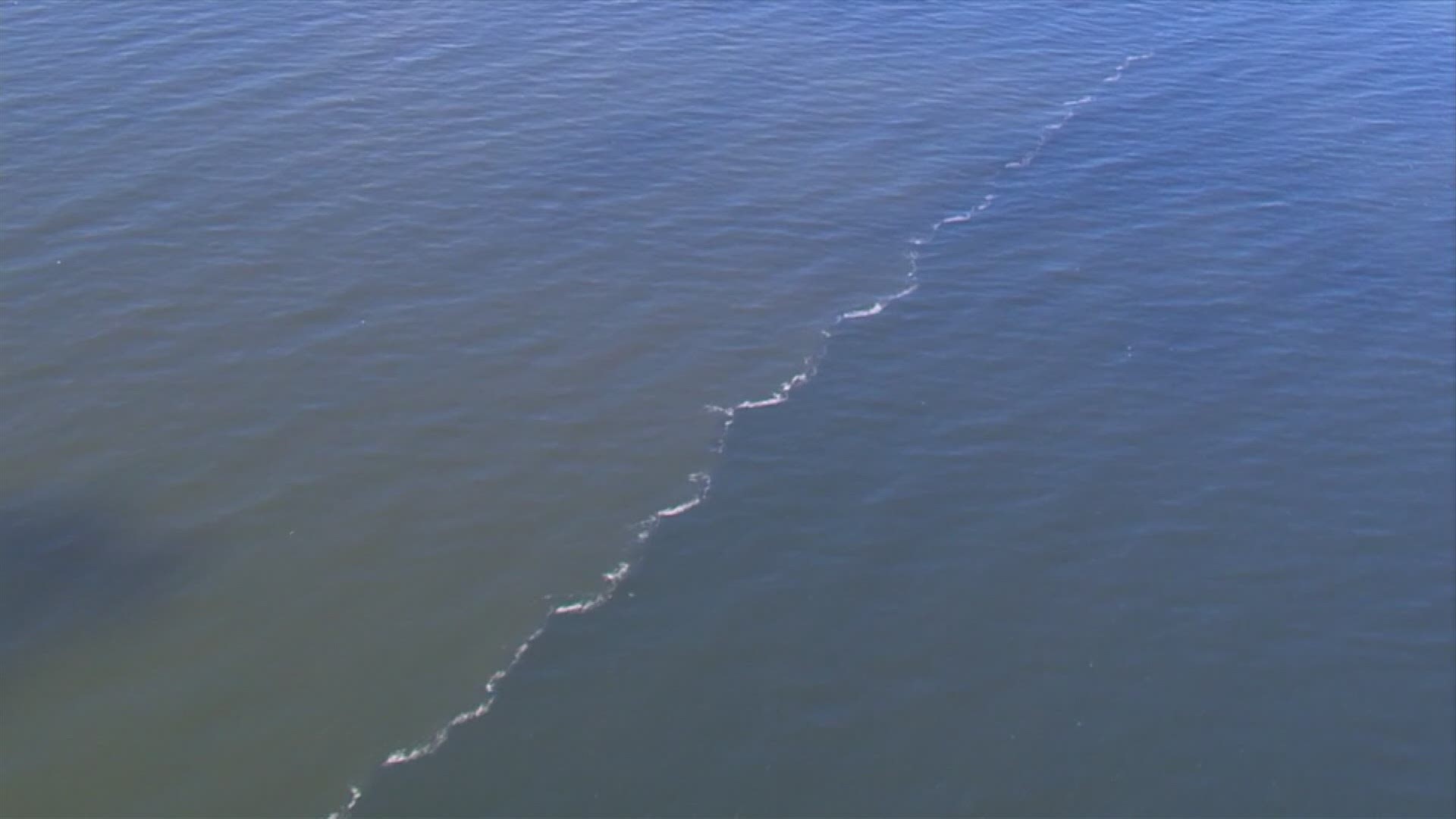 What causes red tide? Research examines human impact | wtsp.com