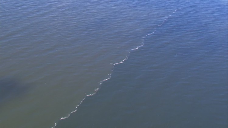 What causes red tide? Research examines human impact | wtsp.com