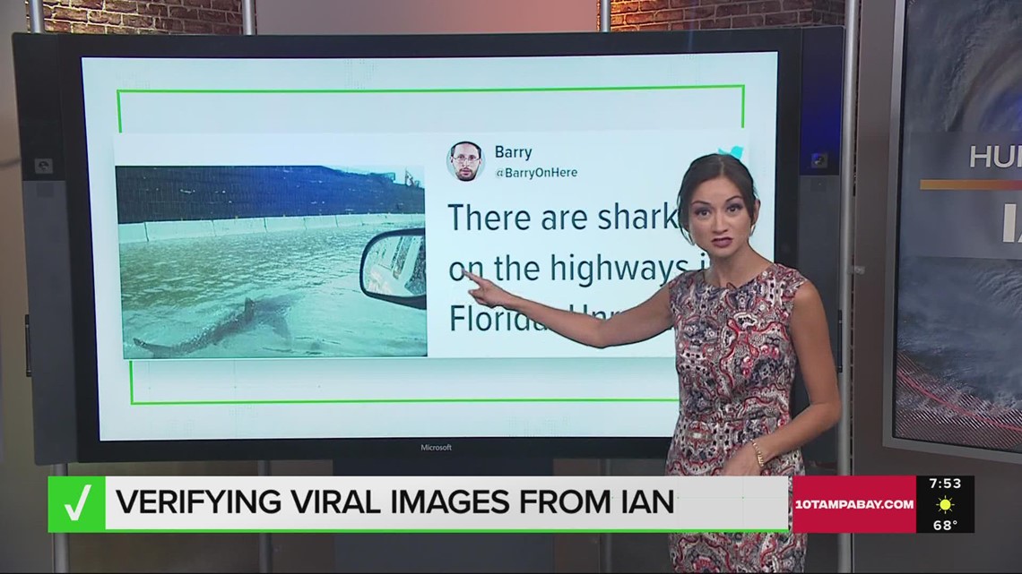 Verify: Real and fake videos and images from Hurricane Ian | wtsp.com