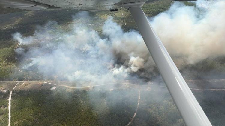 Florida wildfires: See map of current fires across the state | wtsp.com