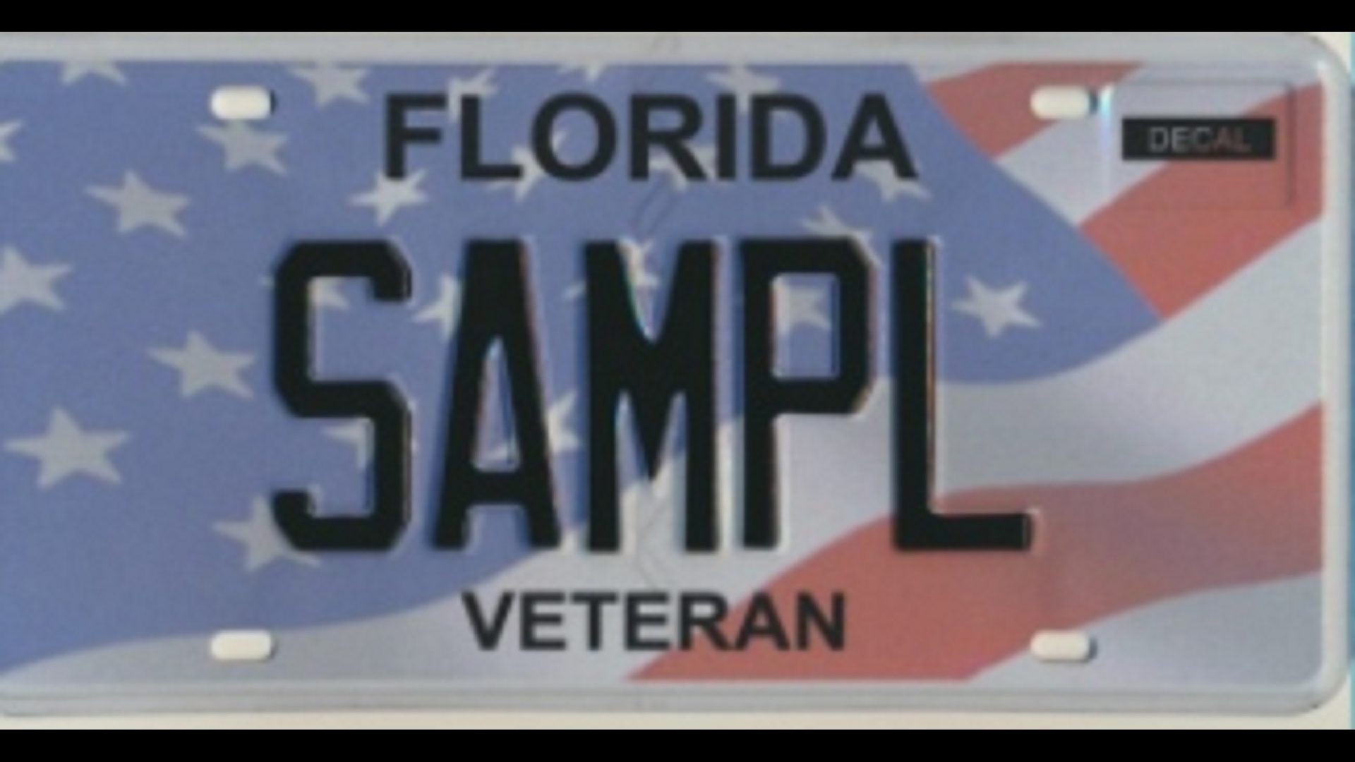 What is Florida's most popular specialty license plate? | wtsp.com
