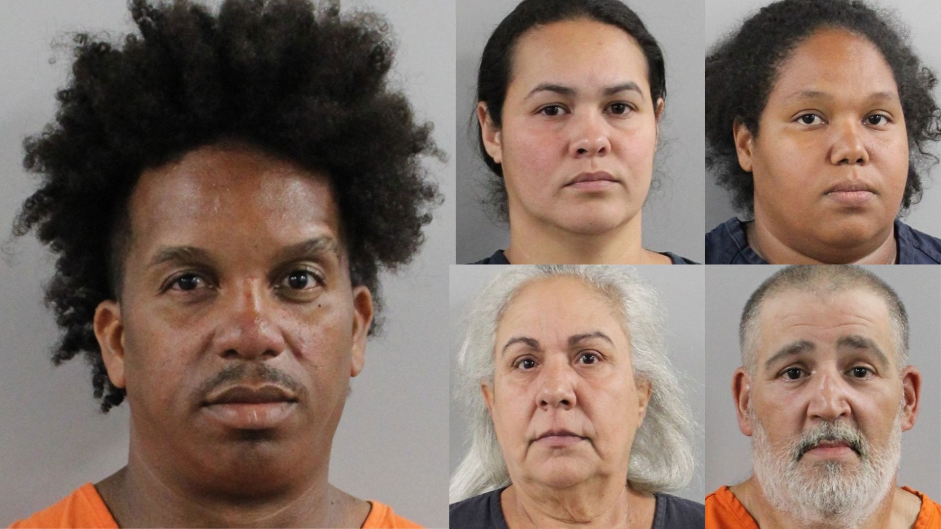 Animals living in 'deplorable conditions' seized from Lake Wales ...