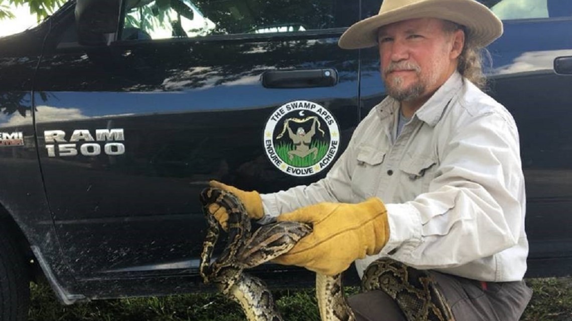 Florida trappers catch 3,600 pythons | wtsp.com